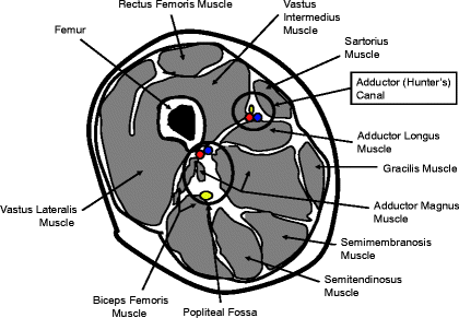 Peripheral Arterial CT Angiography | SpringerLink