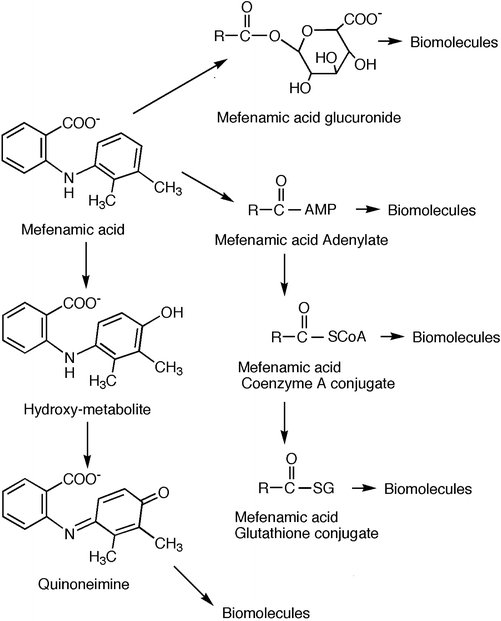 Fenamates | SpringerLink