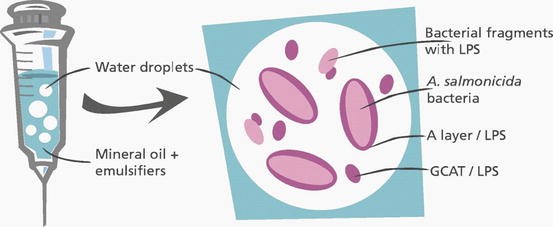 Development of Fish Vaccines: Focusing on Methods | SpringerLink
