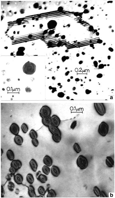 Volume Defects: 3D Imperfections in Crystals | SpringerLink