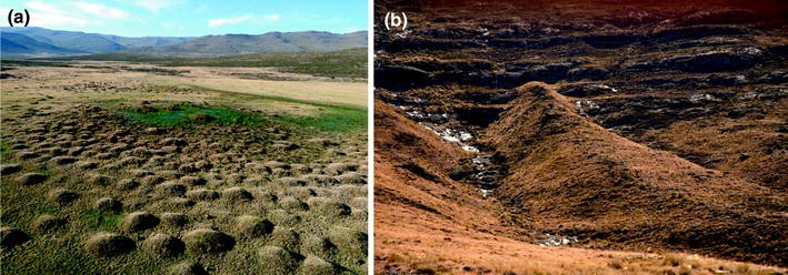 The Drakensberg Escarpment: Mountain Processes at the Edge | SpringerLink