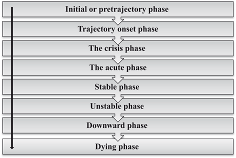 The Interpretive Perspective in Medical Sociology: Part II | SpringerLink