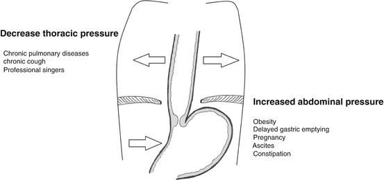 Gastroesophageal Reflux Disease: Pathophysiology | SpringerLink