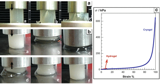 Synthesis and Structure–Property Relationships of Cryogels | SpringerLink