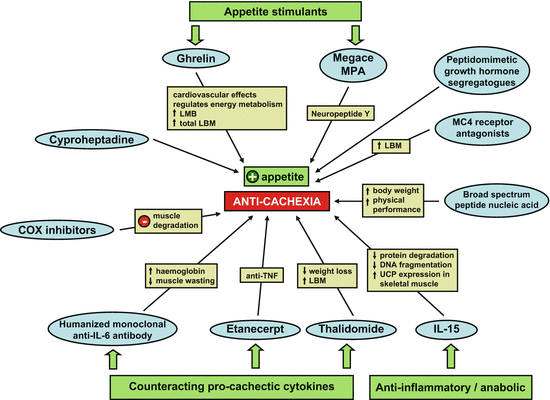 Recent Developments in Treatment of Cachexia | SpringerLink