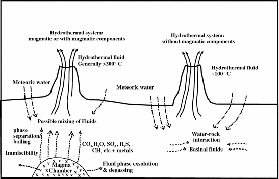Hydrothermal Fluids of Magmatic Origin | SpringerLink