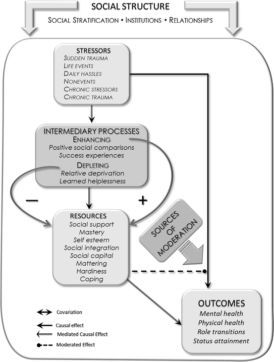 The Stress Process: Its Origins, Evolution, and Future | SpringerLink