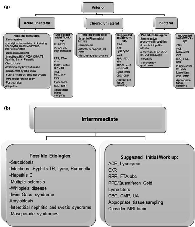 Approach to the Laboratory, Imaging, and Molecular Work-up for Uveitis ...