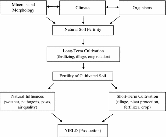 Environmental History of Soils | SpringerLink