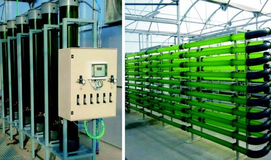 Architectural Bio-Photo Reactors: Harvesting Microalgae on the Surface ...