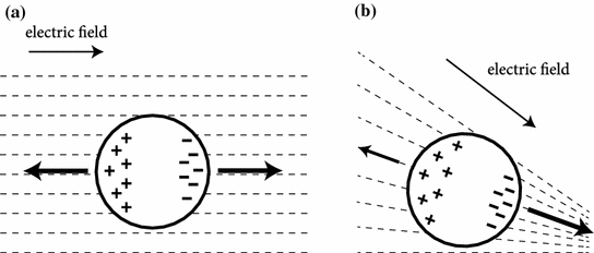 Electrokinetic Forces in Inhomogeneous Fields | SpringerLink