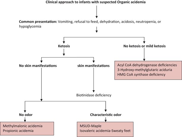 Metabolic Disorder | SpringerLink