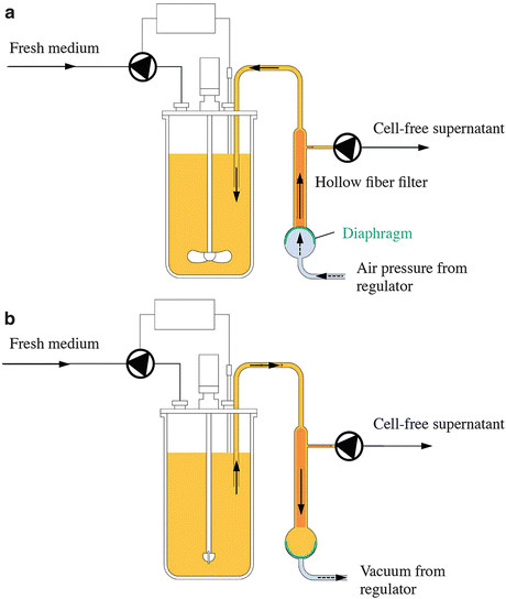 Perfusion Processes | SpringerLink