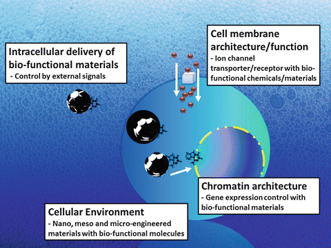 What Are Biomaterials? | SpringerLink
