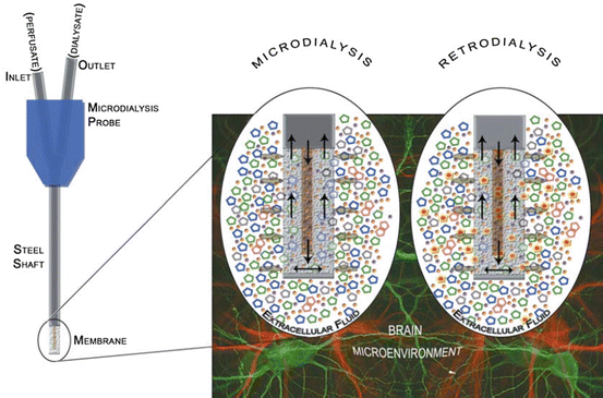 Brain Microdialysis | SpringerLink
