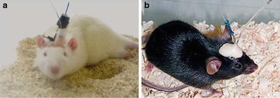 Brain Microdialysis | SpringerLink