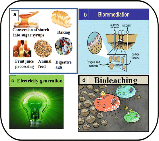 Acidophilic Microbes: Biology and Applications | SpringerLink
