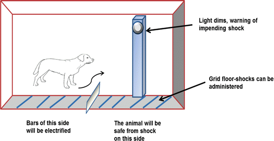 Animal Models of Depression | SpringerLink