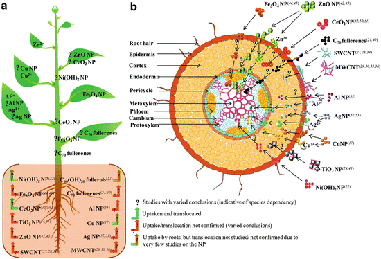 Nano-fertilizers and Their Smart Delivery System | SpringerLink