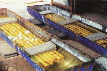 Preservation and Drying of Bamboo | SpringerLink