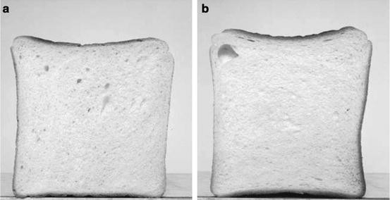 Breadmaking Processes | SpringerLink