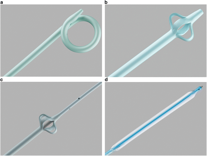 Ureteral Stents, Nephrostomy Tubes, and Urethral Dilators | SpringerLink