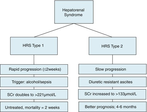 Hepatorenal Syndrome | SpringerLink