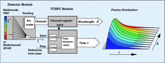 Introduction to Multi-dimensional TCSPC | SpringerLink