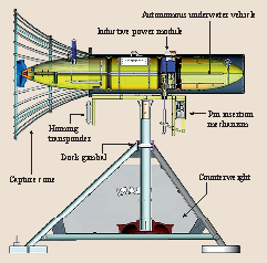 Autonomous Underwater Vehicle Docking | SpringerLink