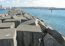 Port and Harbor Design | SpringerLink