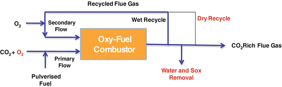 Oxy-fuel Combustion for Carbon Capture and Sequestration (CCS) from a ...