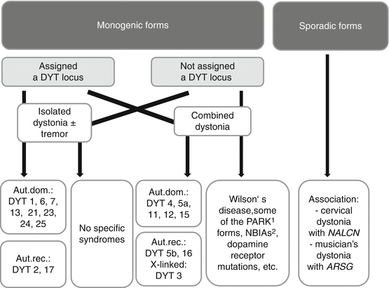 Genetics of Dystonia | SpringerLink