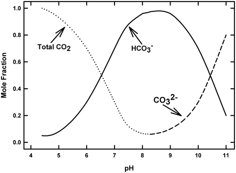 pH, Carbon Dioxide, and Alkalinity | SpringerLink