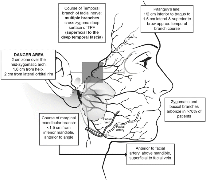 Basic Techniques, Surgical Anatomy, and Histology | SpringerLink