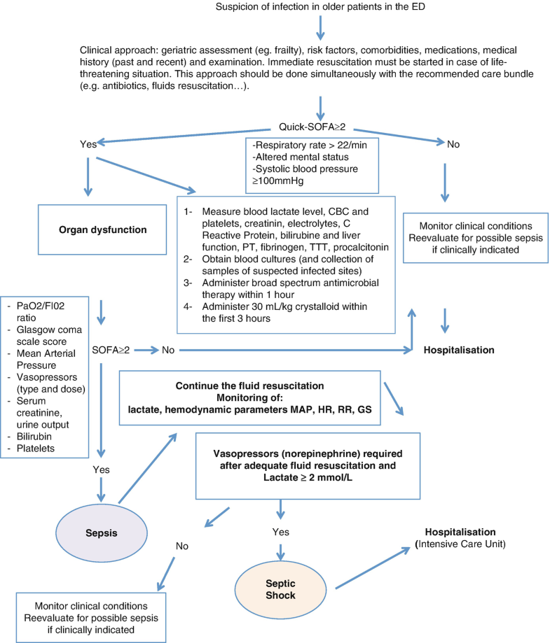 Management of Sepsis in Older Patients in the Emergency Department ...
