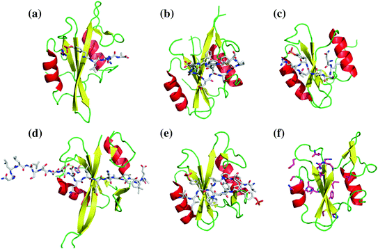 SH2 Domain Structures and Interactions | SpringerLink