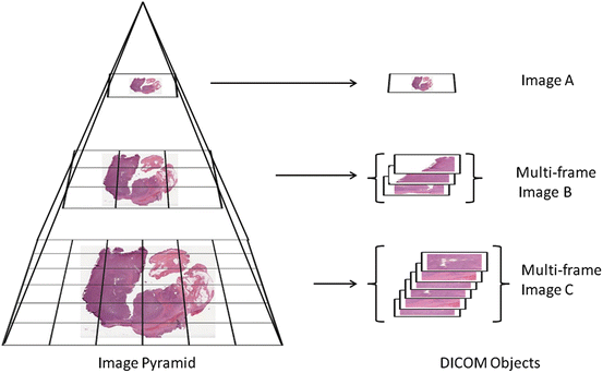 Standards for Digital Pathology and Whole Slide Imaging | SpringerLink