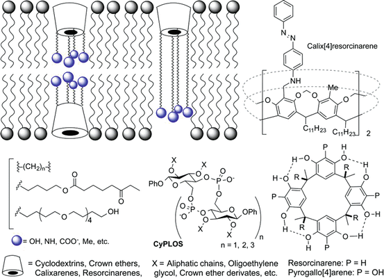 Bioinspired Artificial Sodium and Potassium Ion Channels | SpringerLink