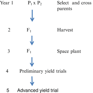 Conventional Plant Breeding Principles and Techniques | SpringerLink
