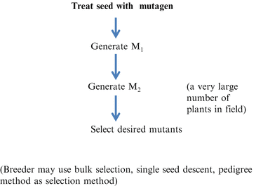 Conventional Plant Breeding Principles and Techniques | SpringerLink