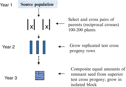 Conventional Plant Breeding Principles and Techniques | SpringerLink