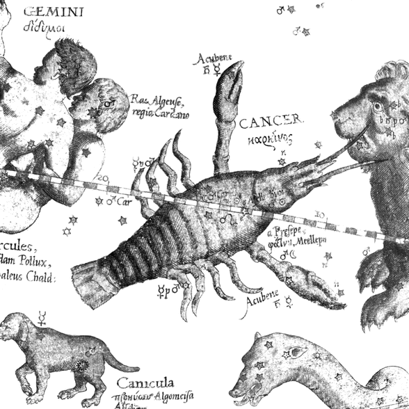 Cancer Minor | SpringerLink