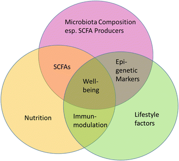 SCFA Producing Gut Microbiota and its Effects on the Epigenetic ...