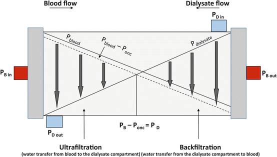 Convective Techniques | SpringerLink
