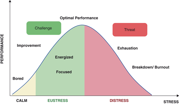 Cognitive Load and Stress in Simulation | SpringerLink
