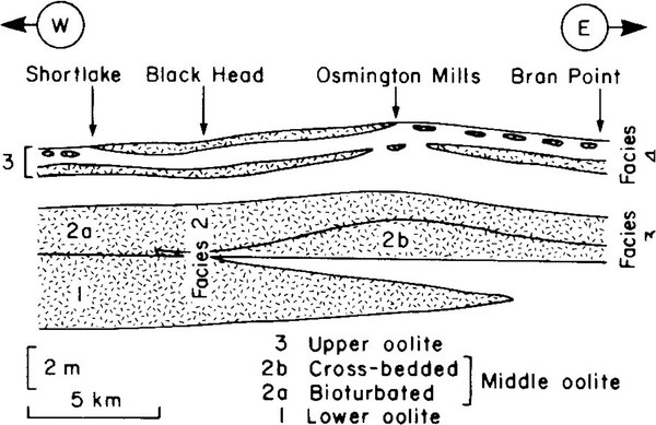 Facies Analysis | SpringerLink