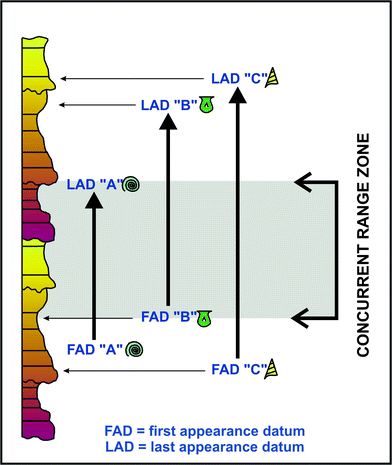 Stratigraphy: The Modern Synthesis | SpringerLink