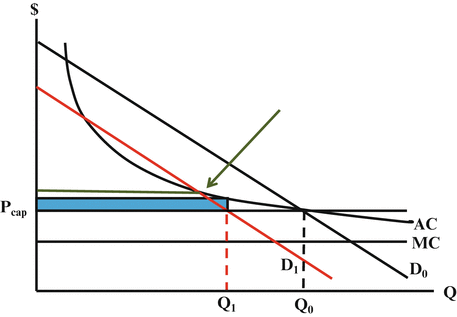 Price Cap Regulation and Declining Demand | SpringerLink