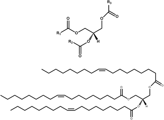 Lipid Metabolism in Microalgae | SpringerLink