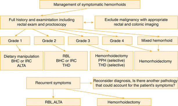 Hemorrhoids | SpringerLink